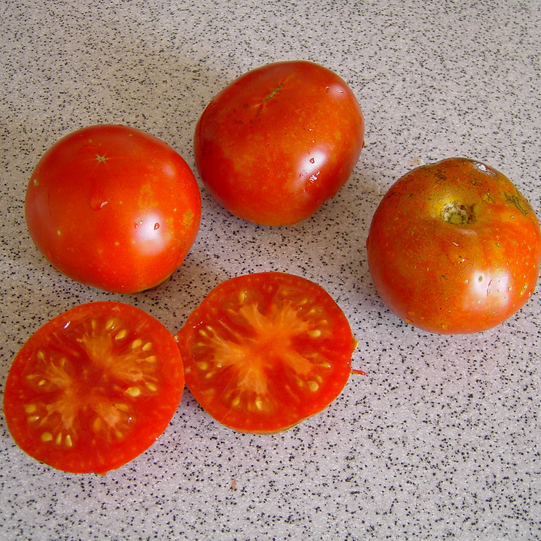 Tomate - Stupice